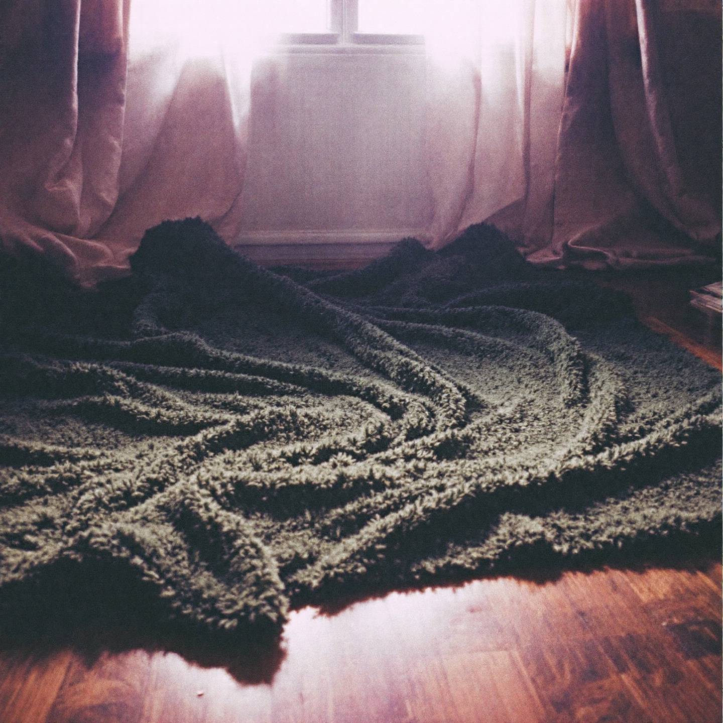 Laver Tapis Poil Long